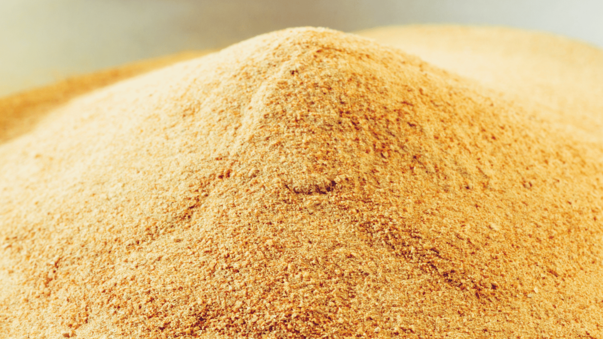 INACTIVE DRY BREWER`S YEAST - rich in protein and minerals